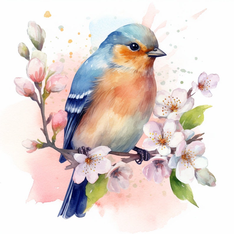 Set of 77, Watercolor Birds Clip Art, Colorful Birds Clipart, Spring ...