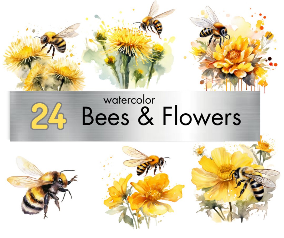 Bees and Flowers Watercolor Clipart Collection - 24 High-quality PNG ...