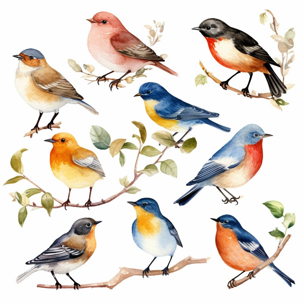 Set of 77, Watercolor Birds Clip Art, Colorful Birds Clipart, Spring ...