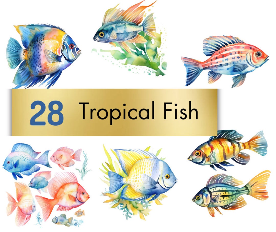 Watercolor Fish Clipart, Tropical Fish Clipart, Coral Reef Fish Clipart ...