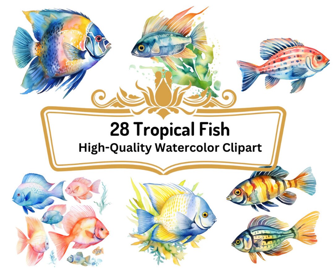 Watercolor Fish Clipart Tropical Fish Clipart Coral Reef - Etsy