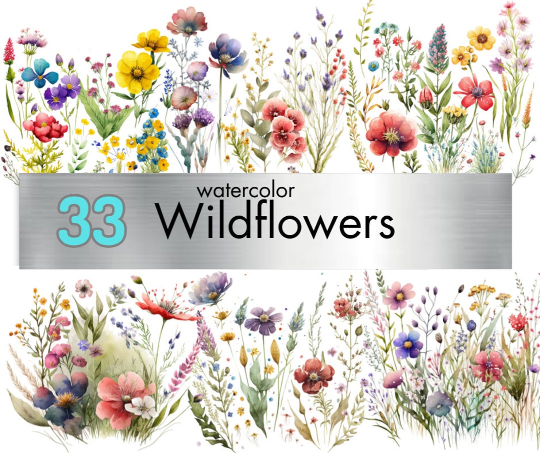 Wildflower Watercolor Clipart Bundle - 33 High-quality Floral PNG ...