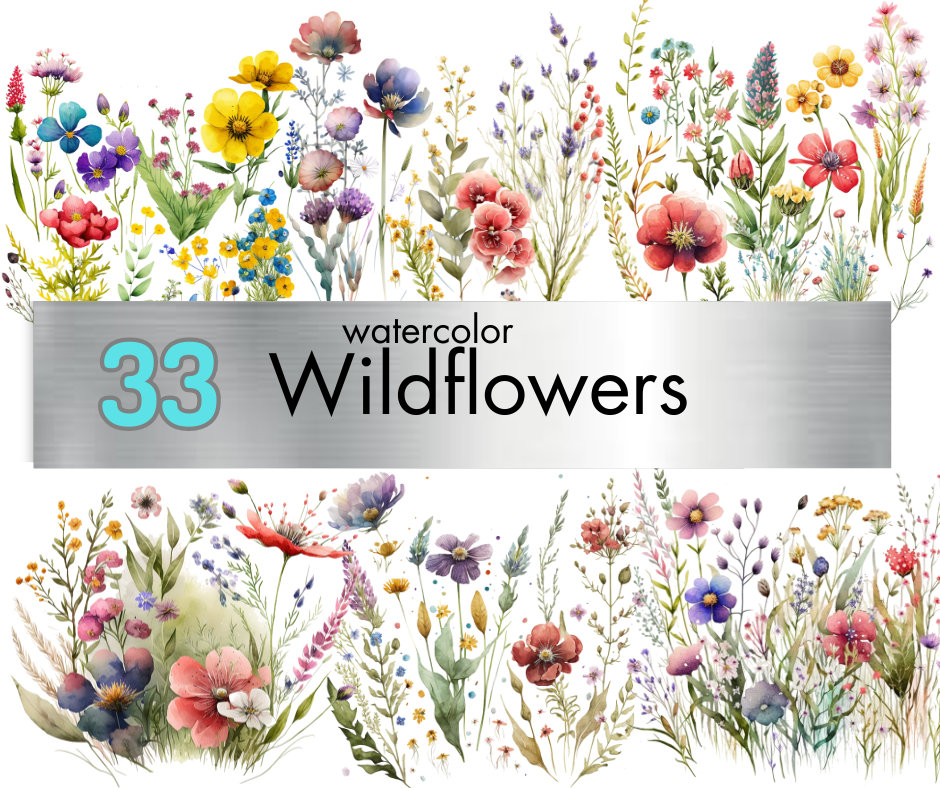 Wildflower Watercolor Clipart Bundle 33 High-quality Floral PNG Images ...