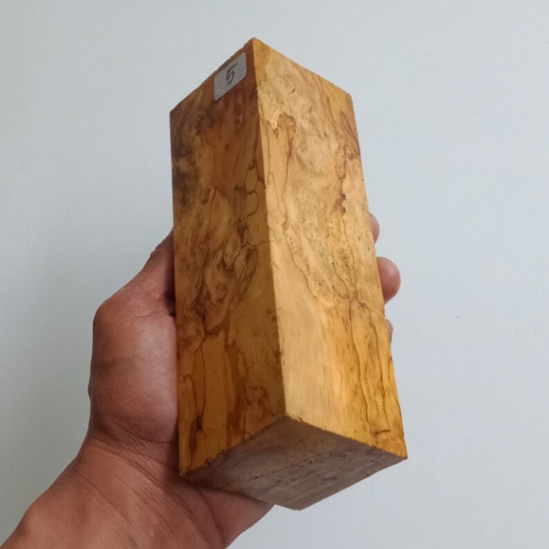 Exotic Cheesewood Blocks Burl and Spalted Wood Block for Turning and ...