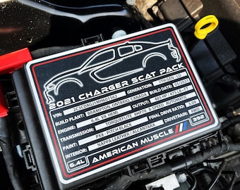 Ford Mustang S550 Custom Aluminum Engine Bay Dress up Plaque Car Show ...