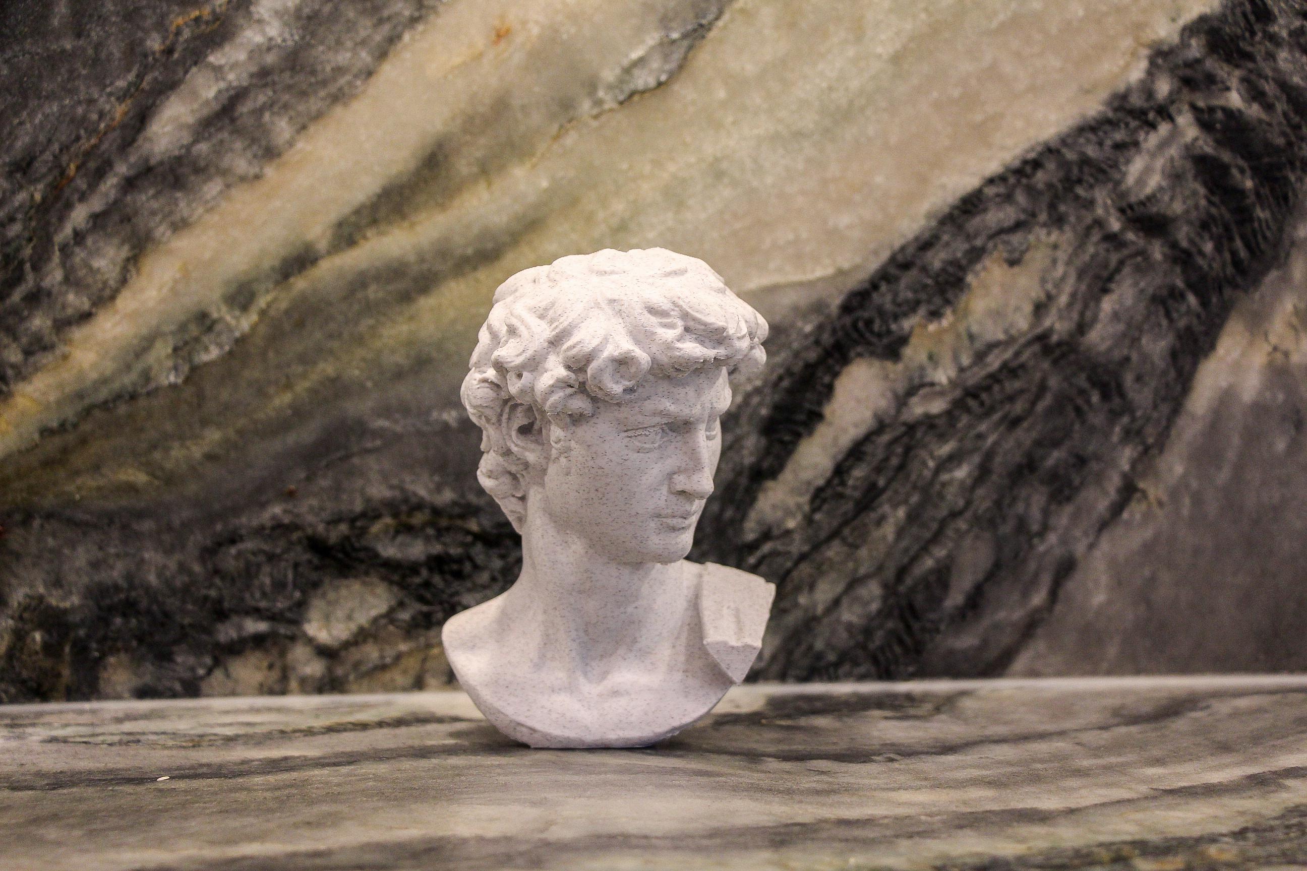 Museum Quality Marble Statue of David Bust - Etsy