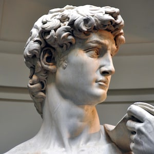 Museum Quality Marble Statue of David Bust - Etsy