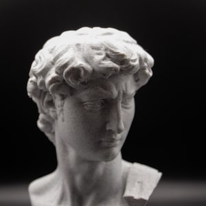 Museum Quality Marble Statue of David Bust - Etsy