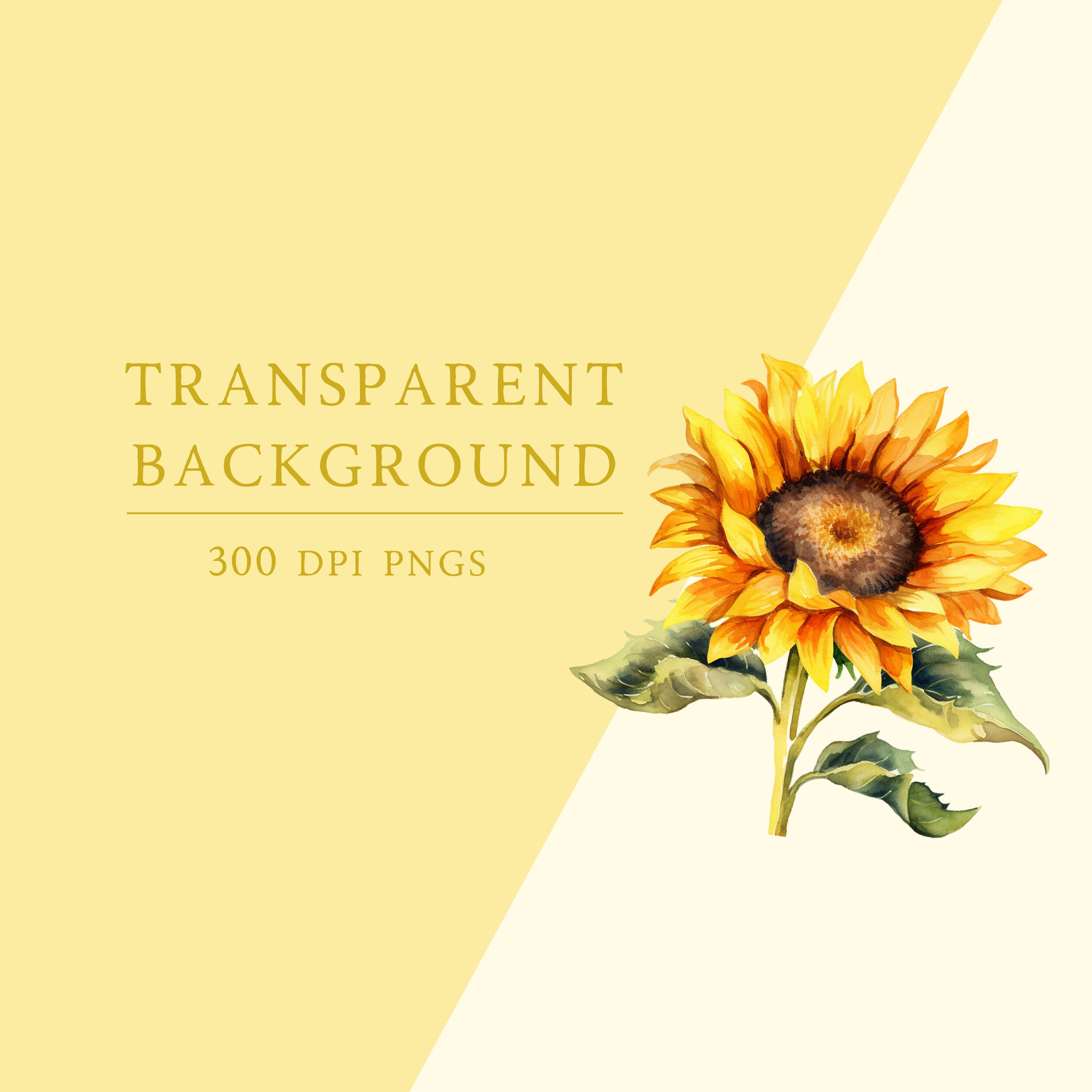 Sunflowers Clip Art, Watercolor Sunflowers Clipart Bundle, Floral ...