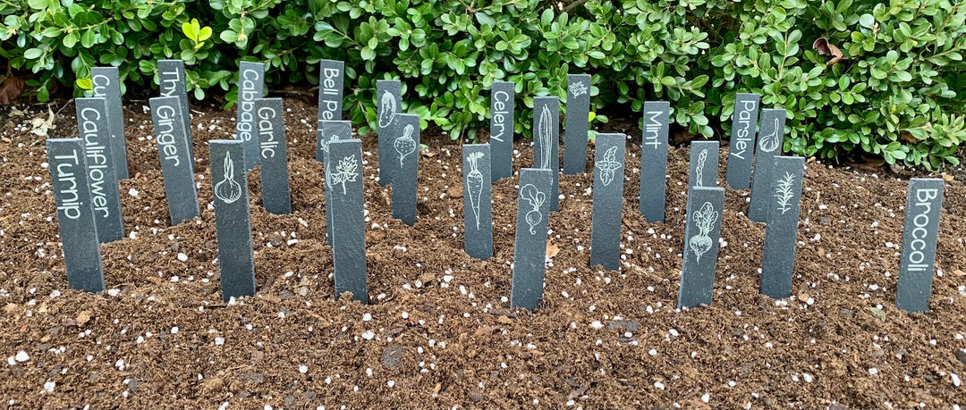 Slate Plant Markers - Etsy