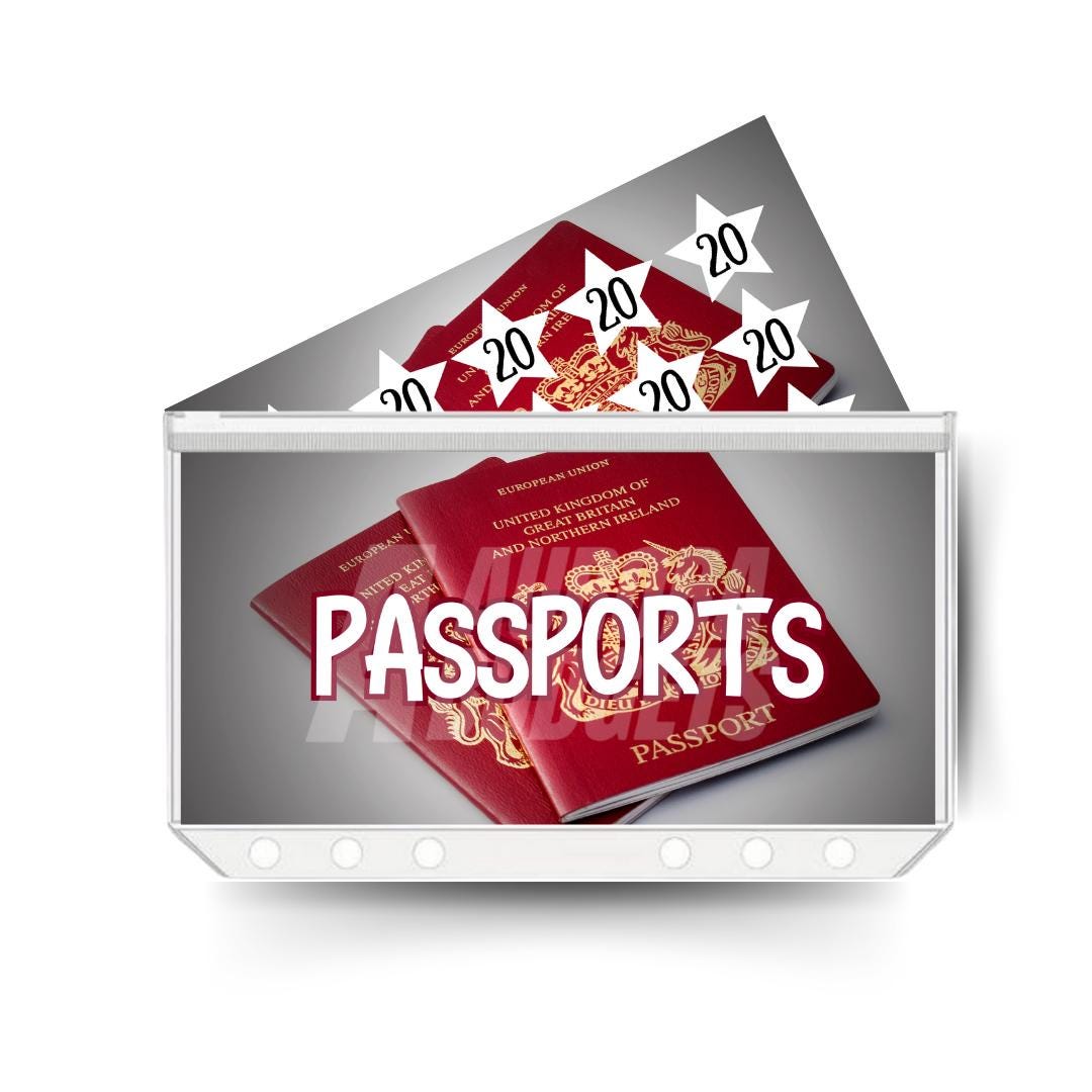 PASSPORTS Laminated Display Insert and Savings Tracker for A6 Budget ...