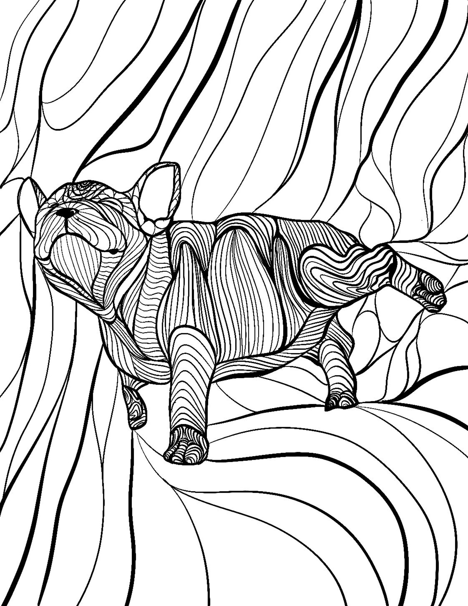 French Bull Dog Colouring Pages - Bundle of 4 - Etsy