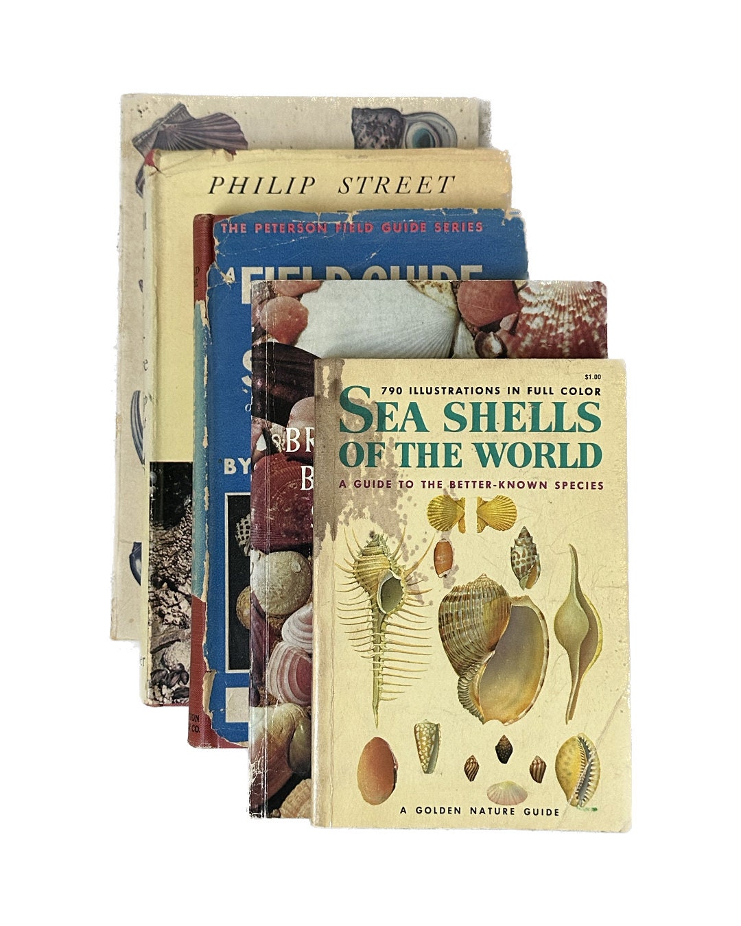 1960s Vintage Seashell Book Collection Set of 5 - Etsy