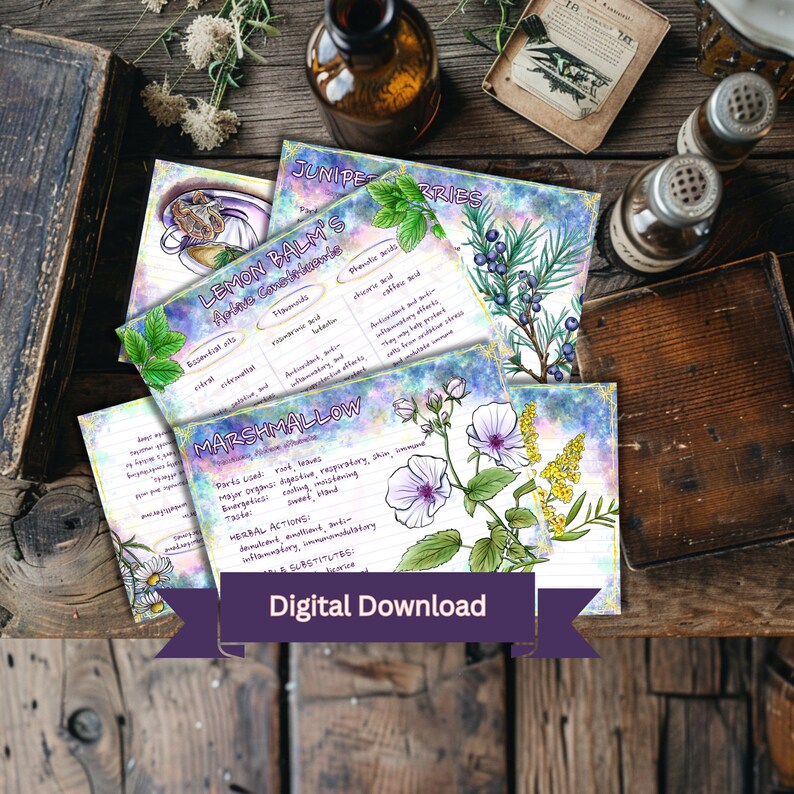 Printable Herb Medica Cards Breakdown Individual Constituent Properties ...