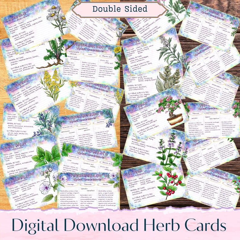 Watercolor Herb Medica Cards: Herbal Tea Recipe Guide (digital Download ...