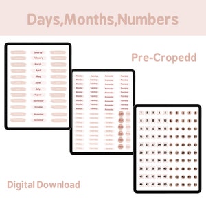 Student Digital Stickers for Goodnotes,digital Widget Stickers,teacher ...
