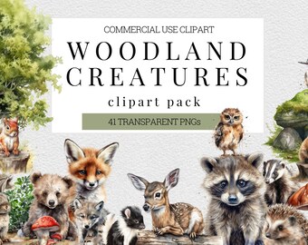 Watercolour Baby Woodland Animals Clipart Pack, Clipart for Commercial ...