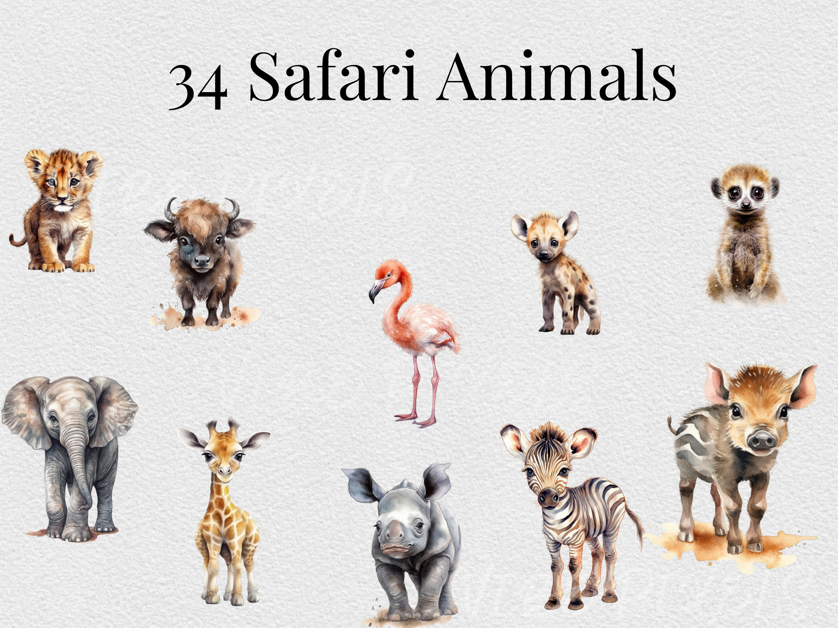 Safari Baby Animals Clipart Watercolor Clipart for Commercial - Etsy