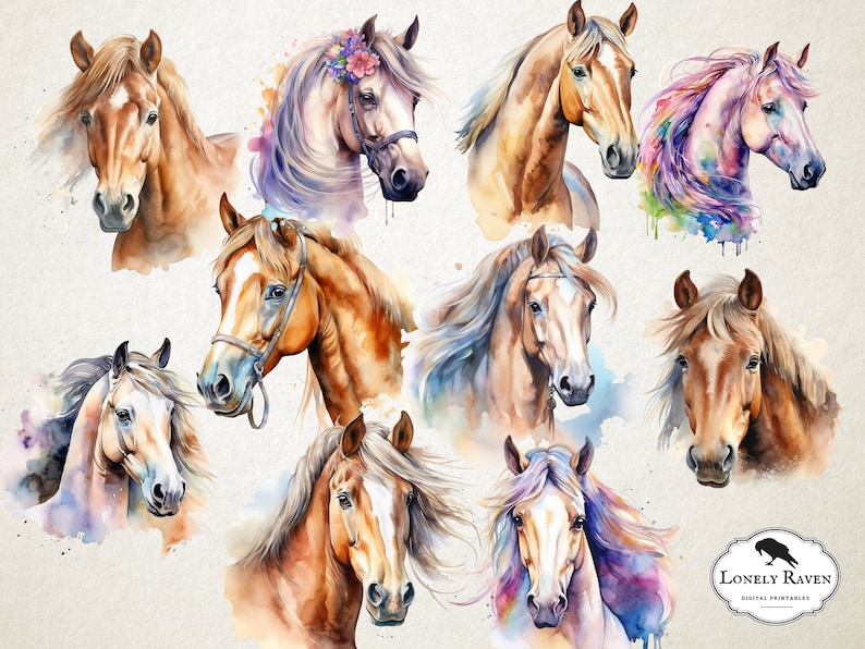 Horses Watercolor Clipart Bundle 64 Horse Pngs, Horses Clip Art ...