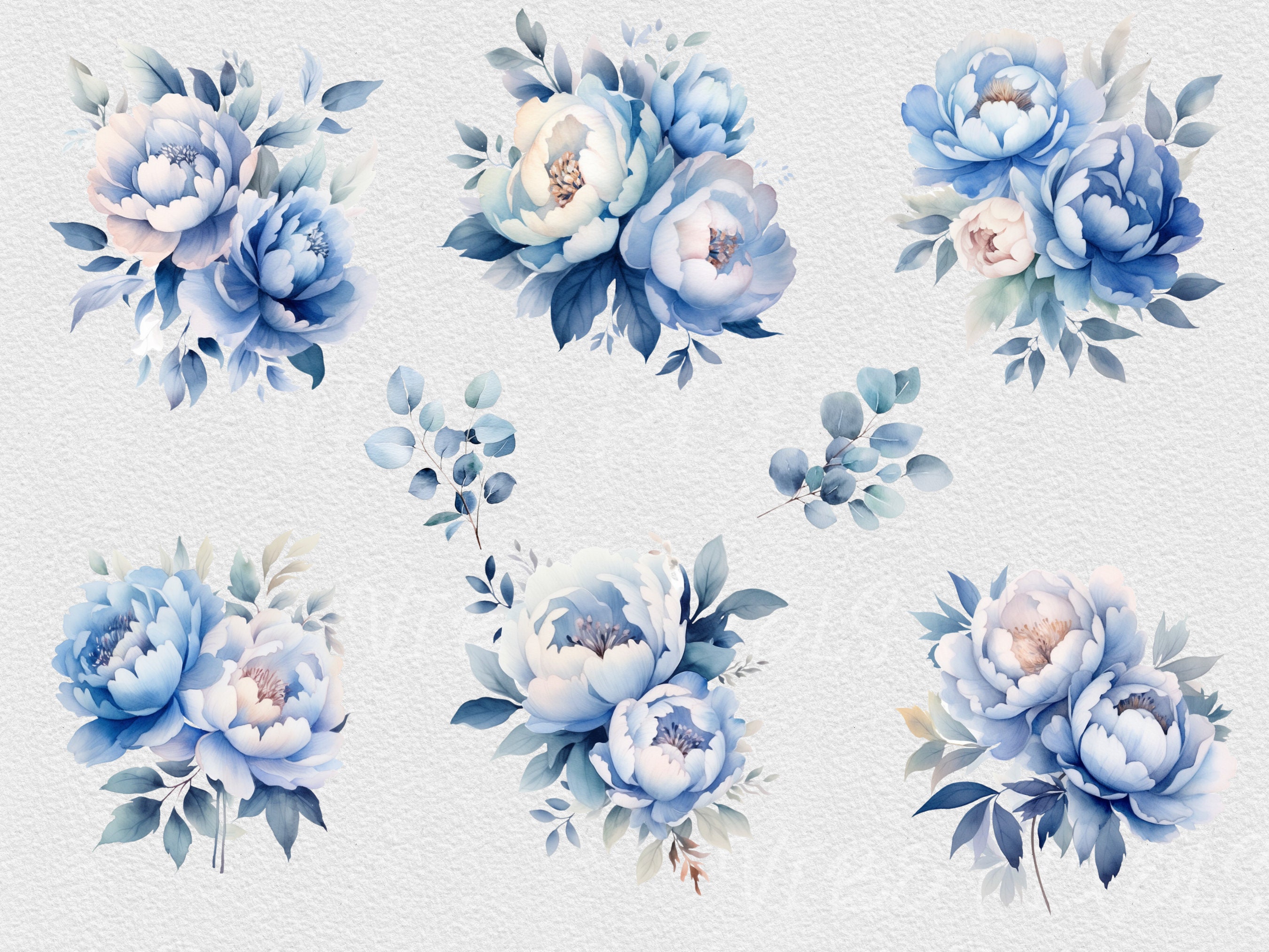 Dusty Blue Peonies Watercolor Clipart Peony Floral Clipart Peonies ...