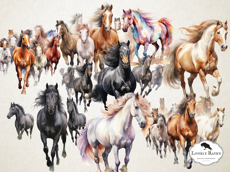 Horses Watercolor Clipart Bundle 64 Horse Pngs, Horses Clip Art ...