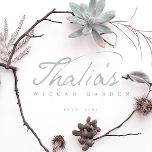 Mythshire Handwritten Witchy Script Font - Etsy