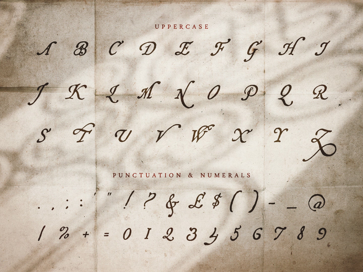 New Regent Quill Fantasy and Medieval Font - Handwritten Vintage Font ...