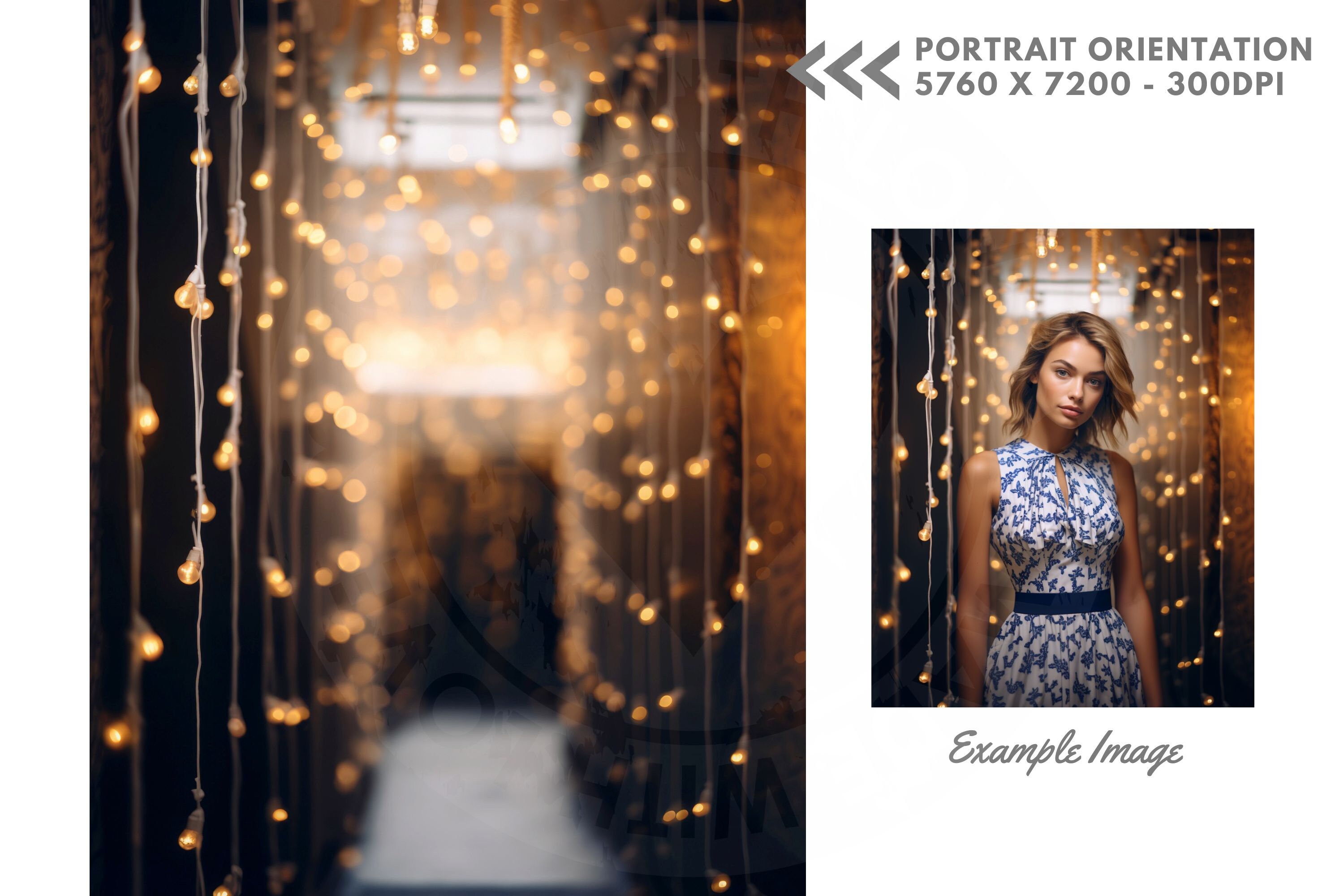 14 Sparkle Blurred Lights Portraiture Digital Backgrounds for Dance ...