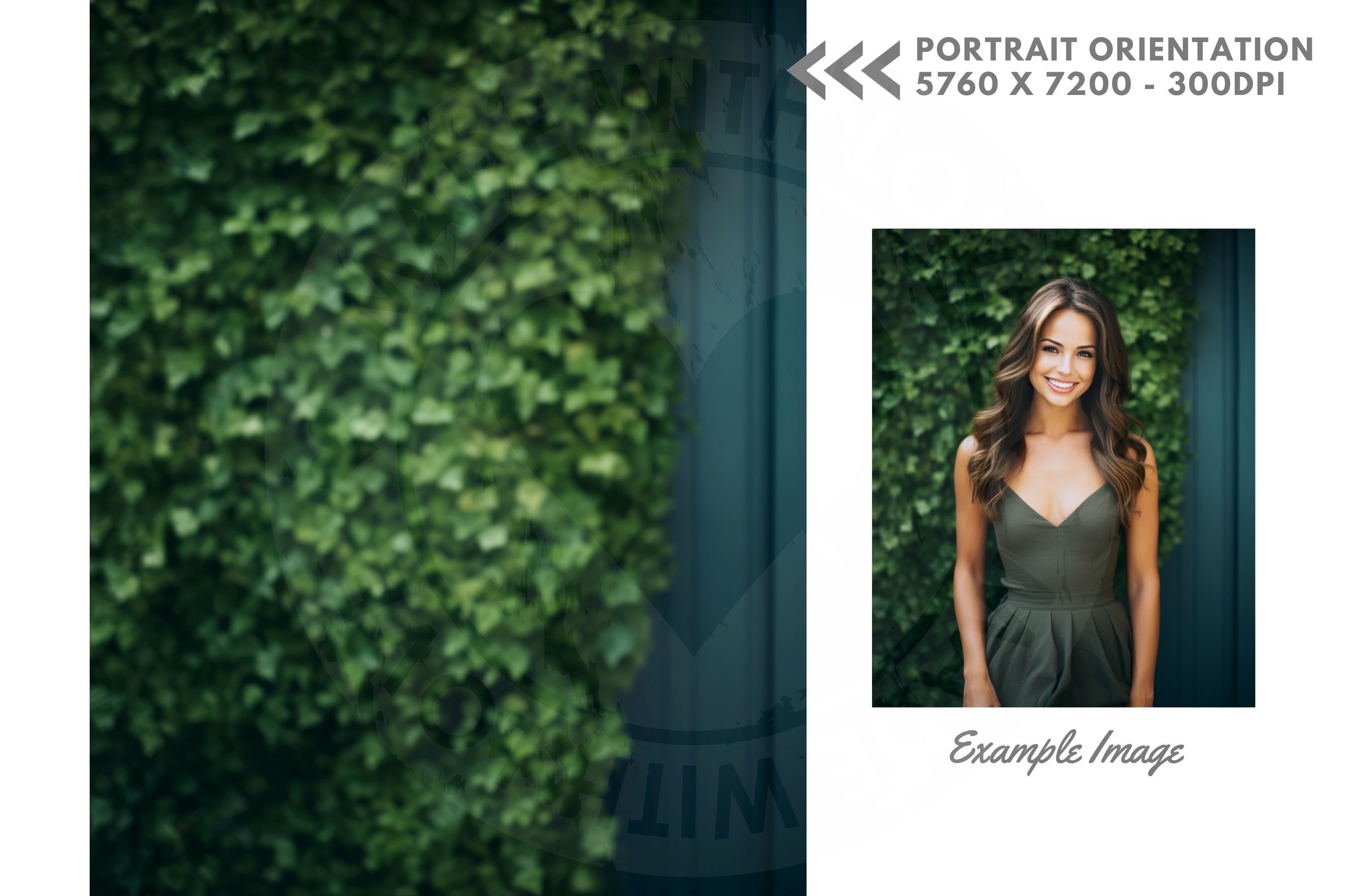 14 Boxwood Backdrop Digital Bokeh Images 300dpi 5760 X 7200, Wallpaper ...