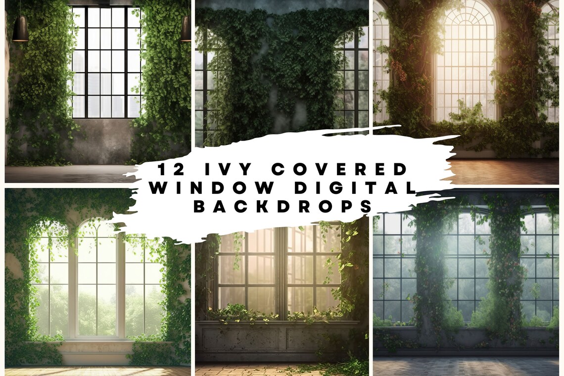 12 Digital Backdrops of Ivy Covered Window Interiors for Wedding ...