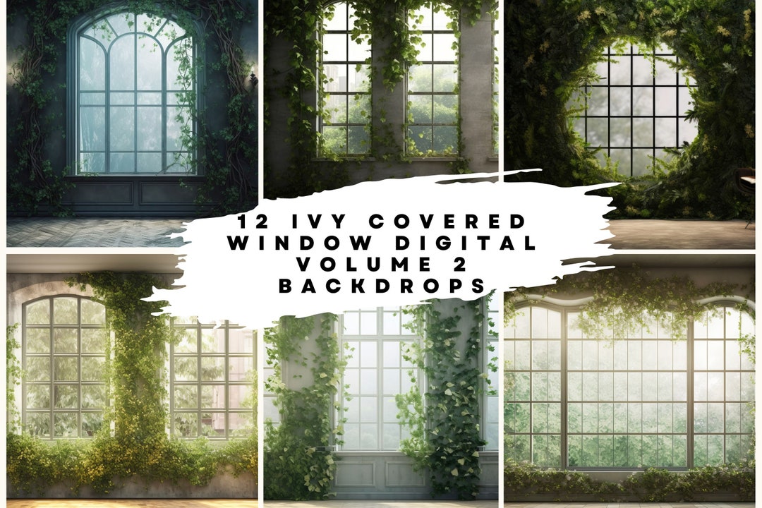 12 Digital Backdrops of Ivy Covered Window Interiors Volume 2 for ...