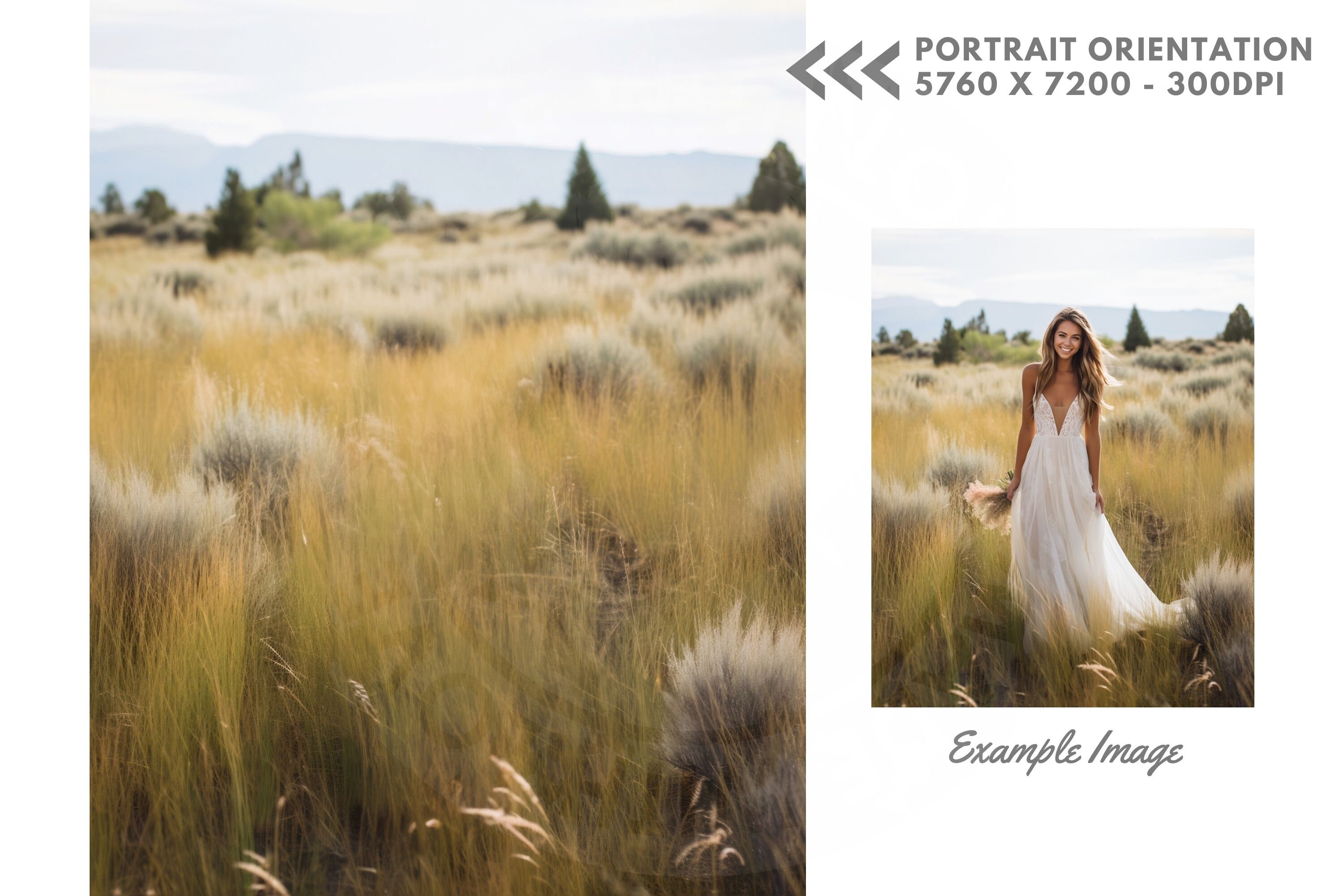 14 Digital Backdrops of Outdoor Field of Tall Grass Volume 2 for Bridal ...