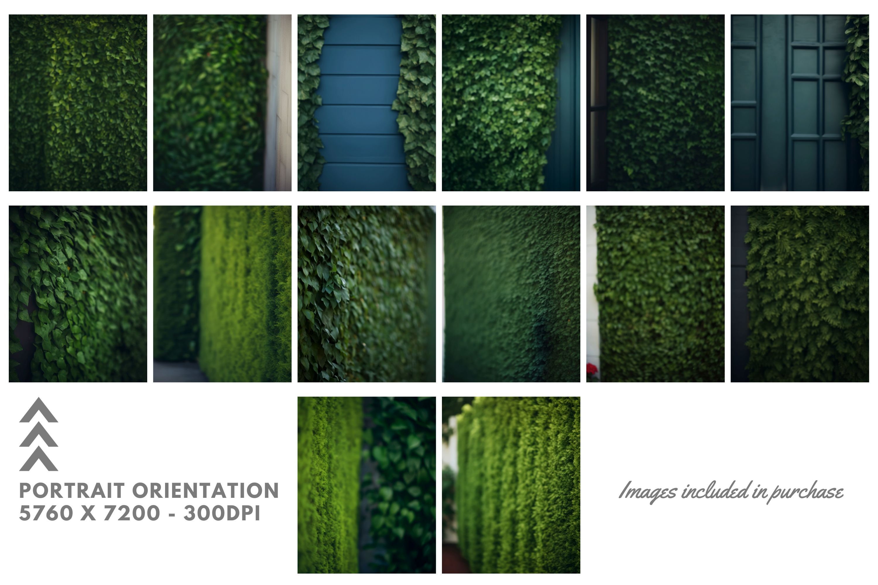 14 Boxwood Backdrop Digital Bokeh Images 300dpi 5760 X 7200, Wallpaper ...
