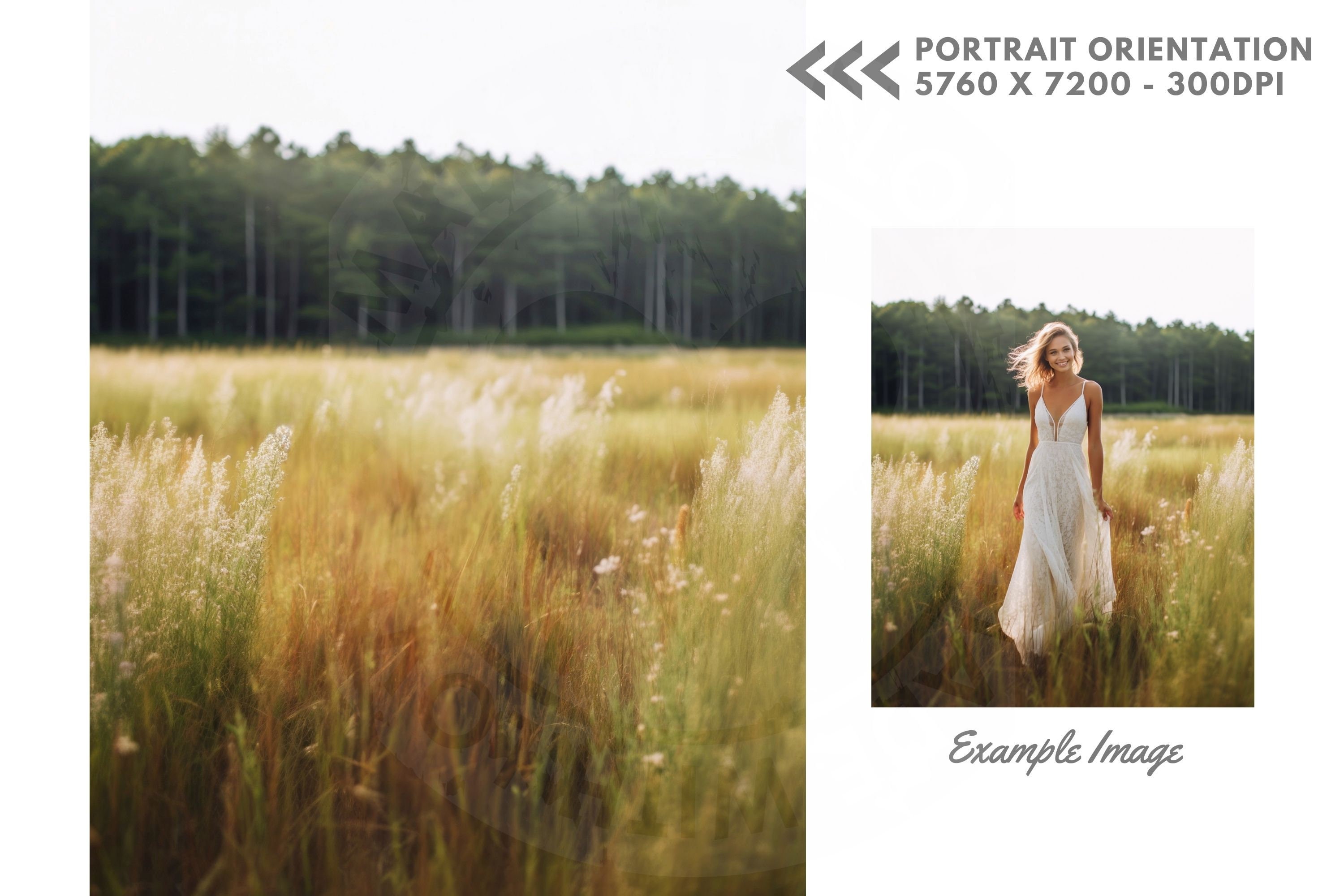 14 Digital Backdrops of Outdoor Field of Tall Grass Volume 2 for Bridal ...