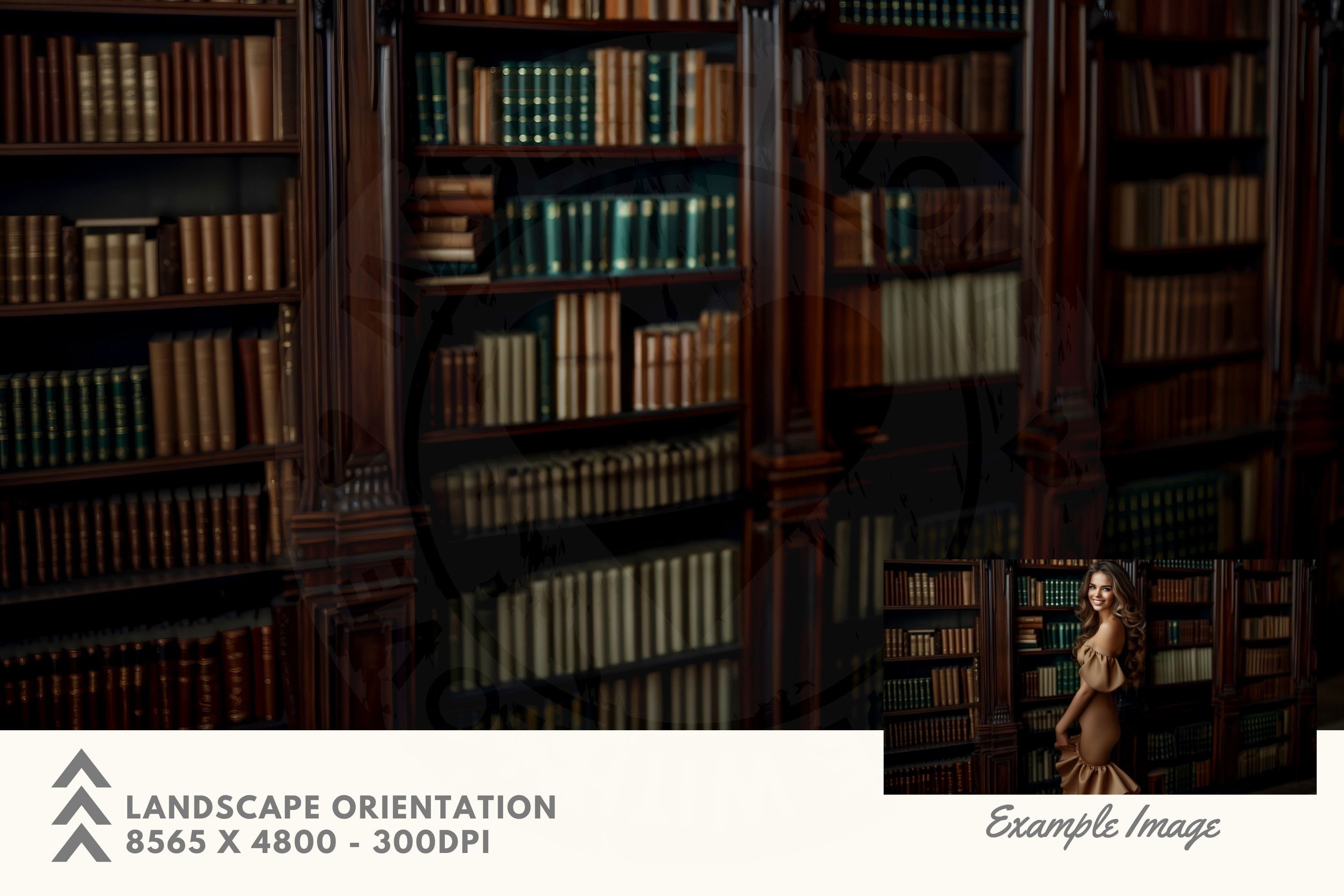 16 Digital Bookcase Background Images Volume 2 for Dance, Bridal ...