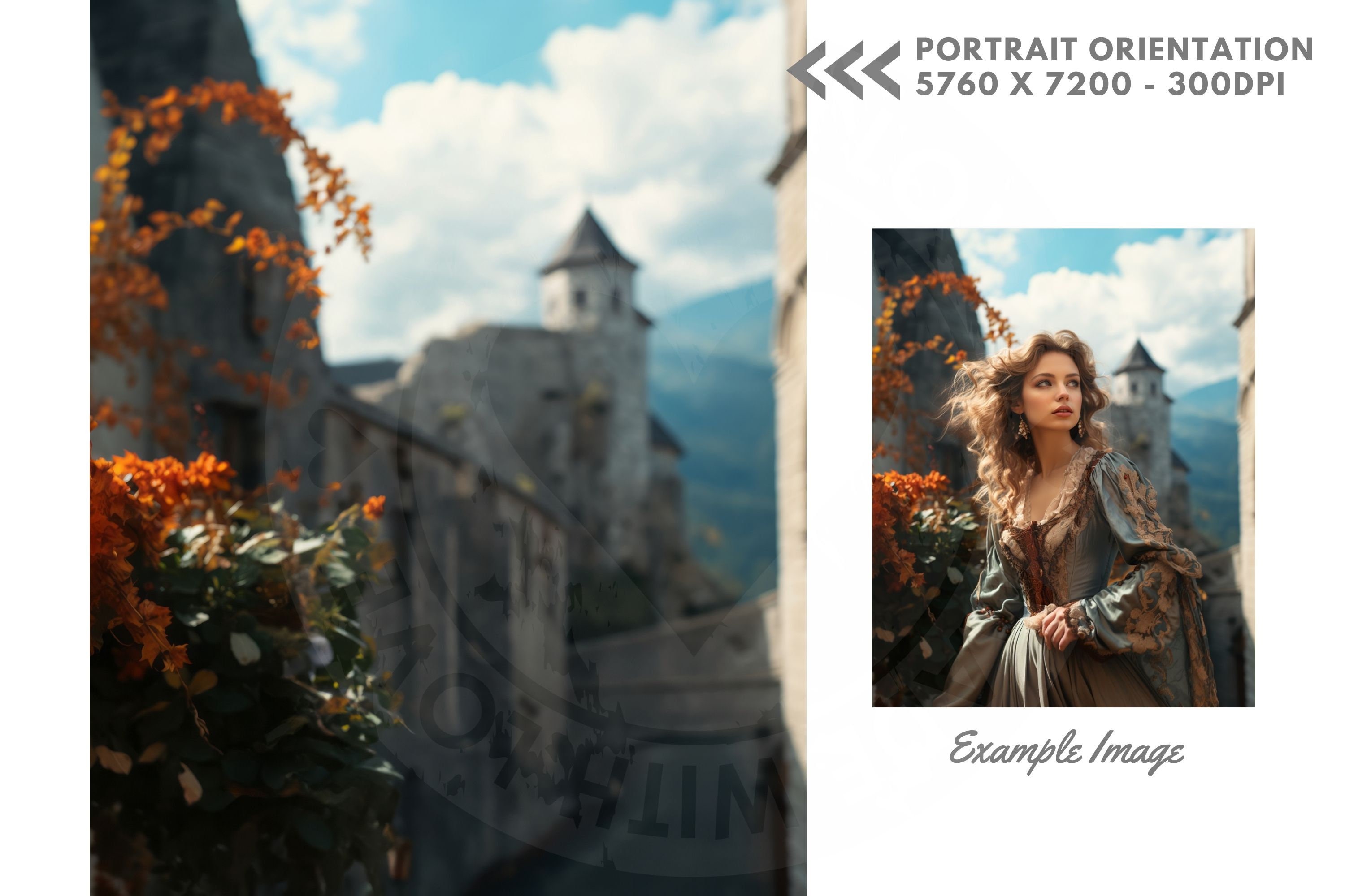 12 Castle Backdrop Renaissance Digital Images for Dance, Bridal ...