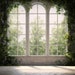 12 Digital Backdrops of Ivy Covered Window Interiors for Wedding ...