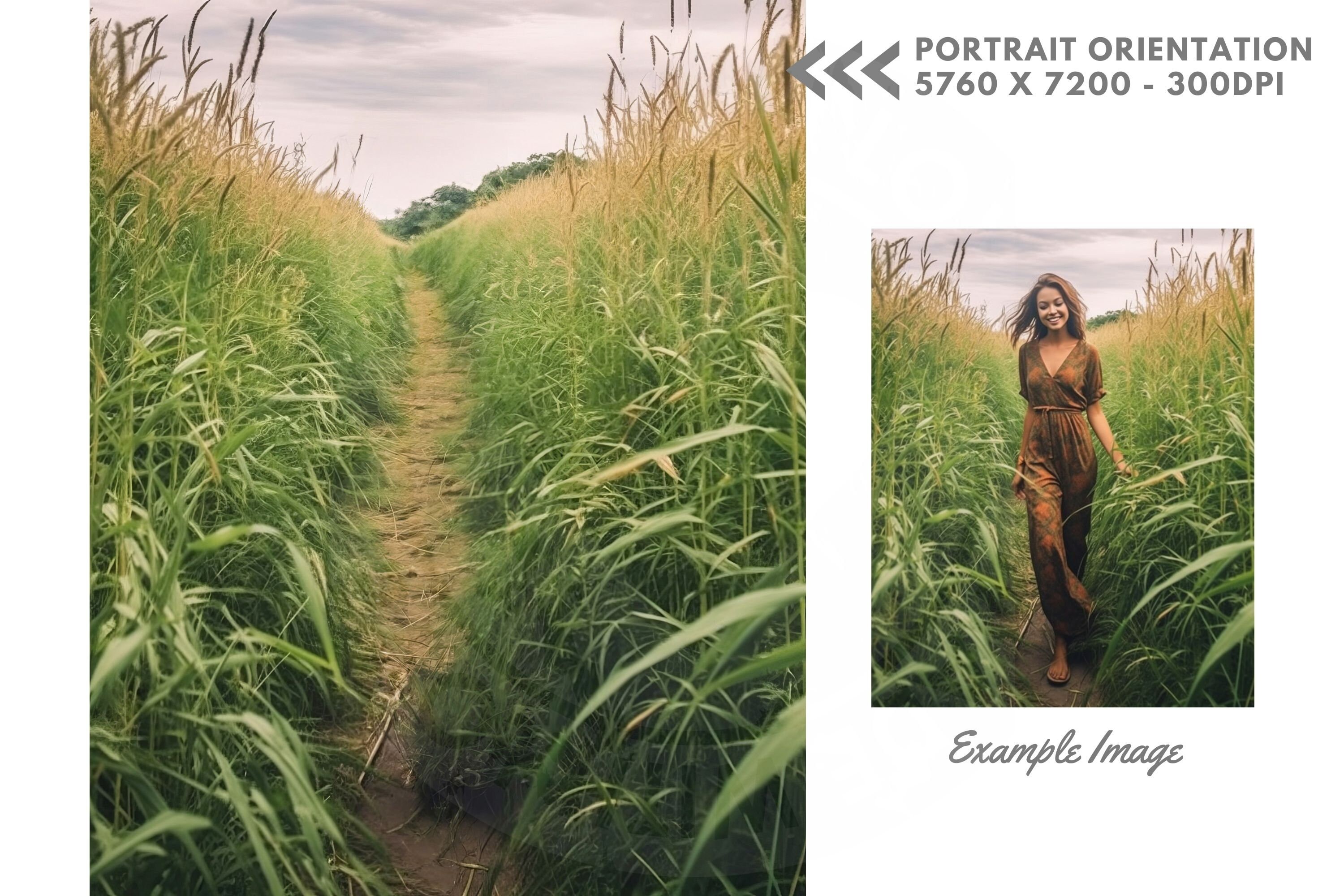 14 Digital Backdrops of Outdoor Field of Tall Grass for - Etsy