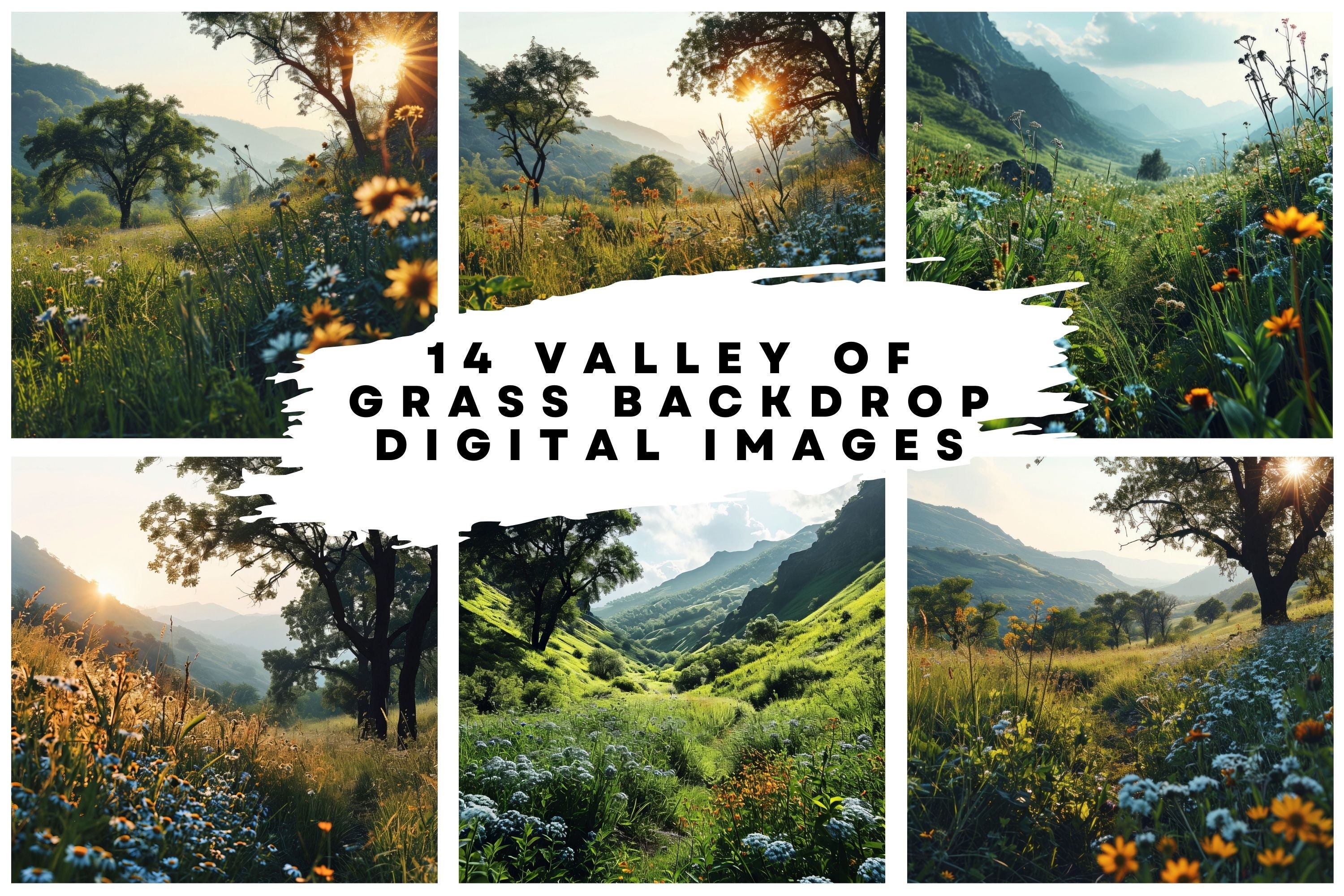 14 Valley of Grass Backdrop Digital Images 300DPI size: 5760 X 7200 for ...