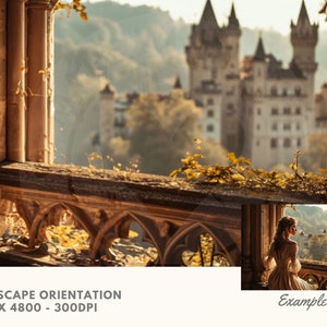 14 Castle Backdrop Renaissance Digital Images at 300DPI (size: 8565 X ...