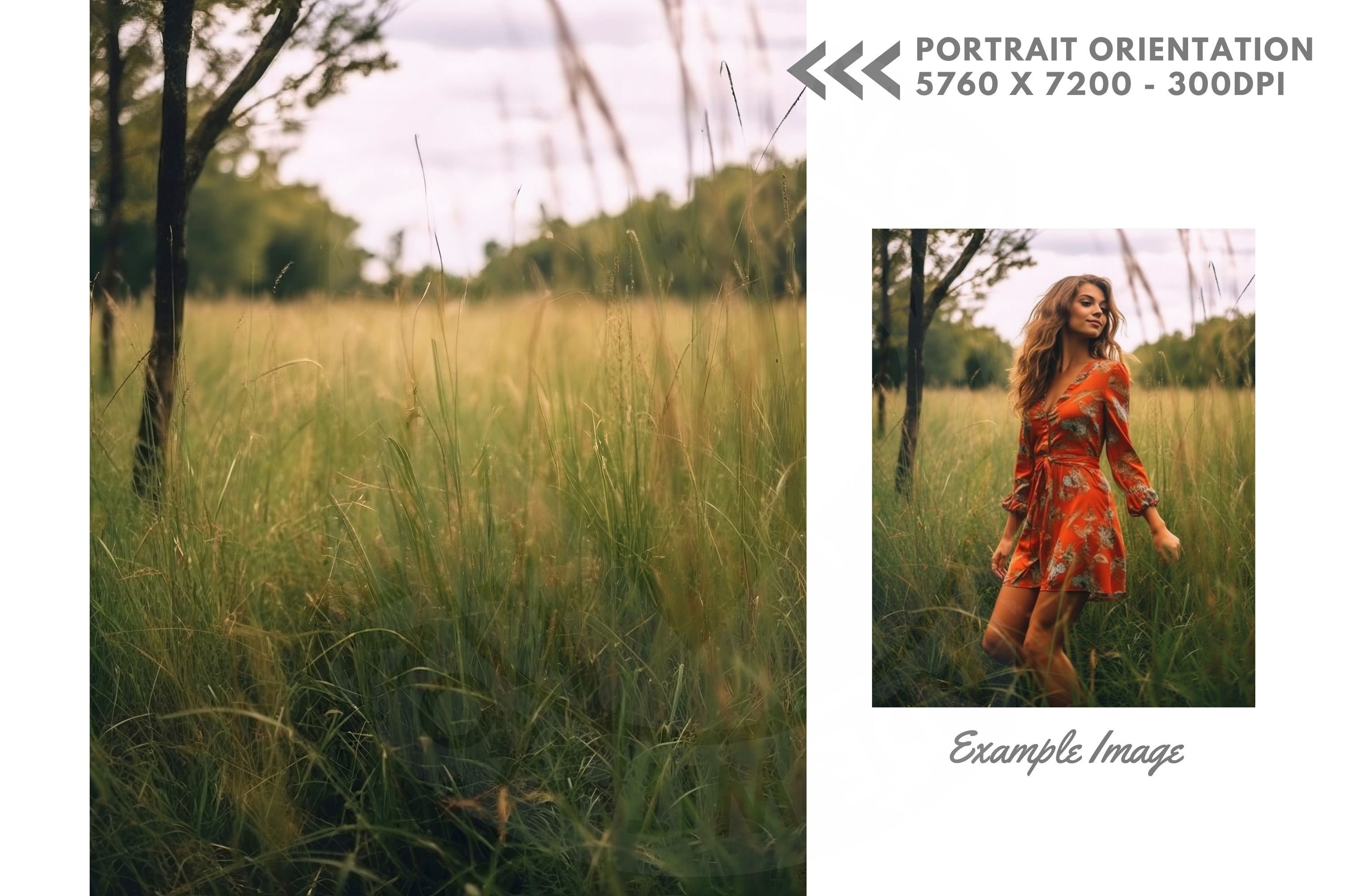 14 Digital Backdrops of Outdoor Field of Tall Grass for - Etsy