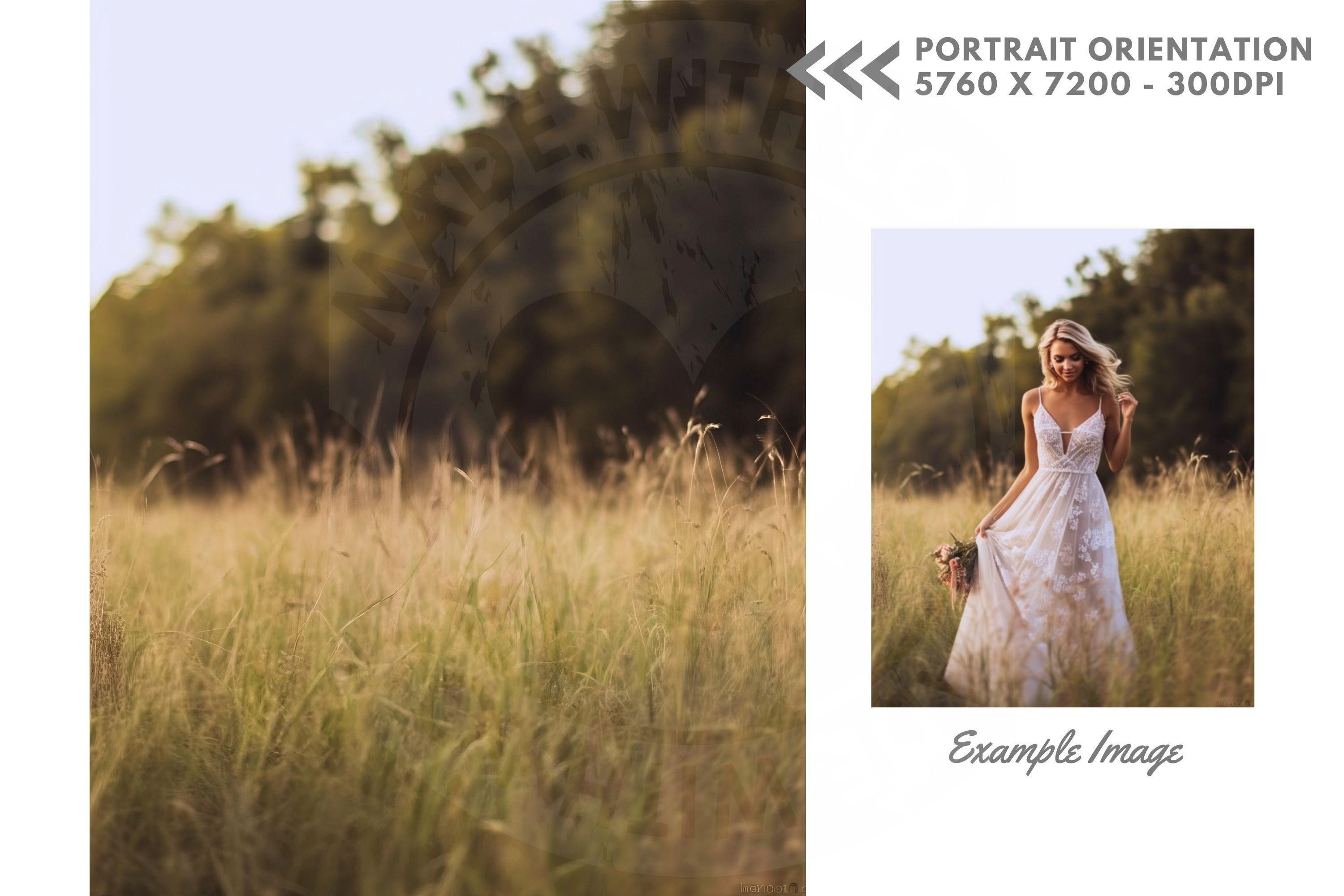 14 Digital Backdrops of Outdoor Field of Tall Grass Volume 2 for Bridal ...