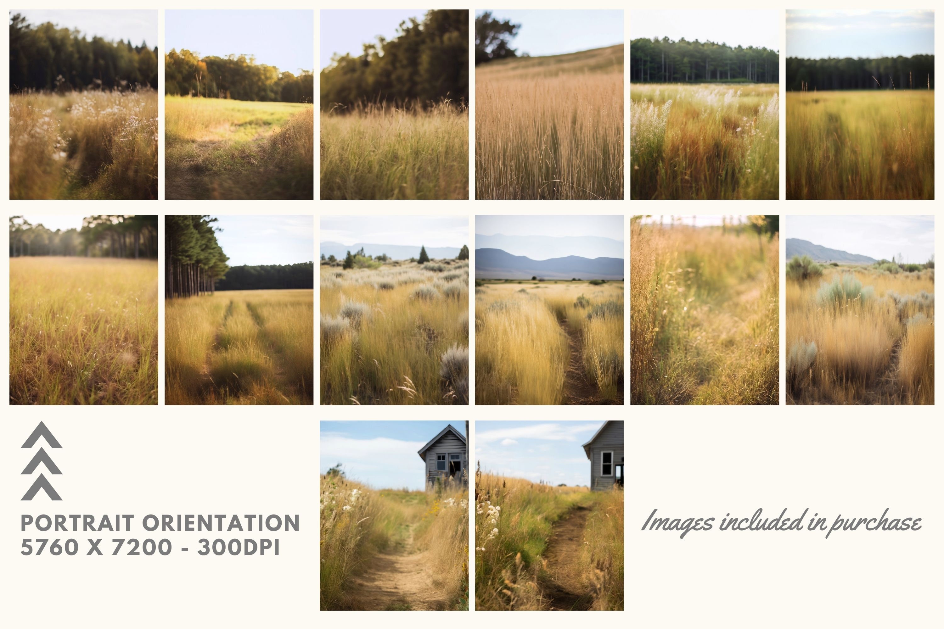 14 Digital Backdrops of Outdoor Field of Tall Grass Volume 2 for Bridal ...