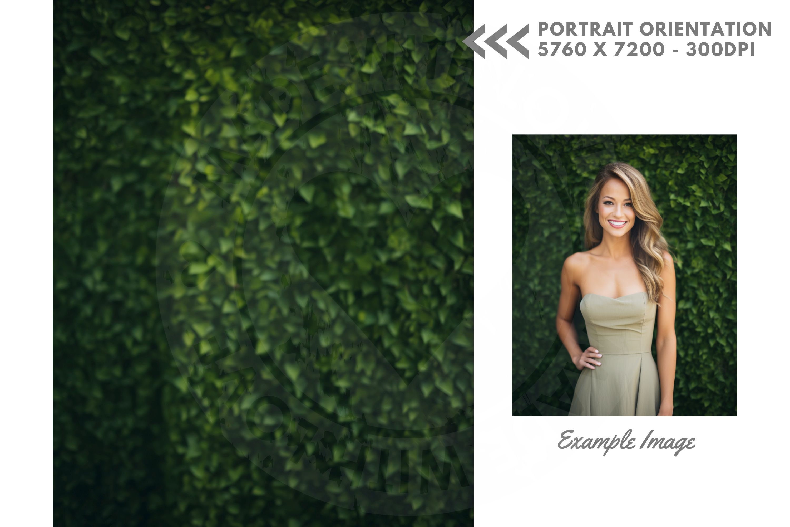 14 Boxwood Backdrop Digital Bokeh Images 300dpi 5760 X 7200, Wallpaper ...