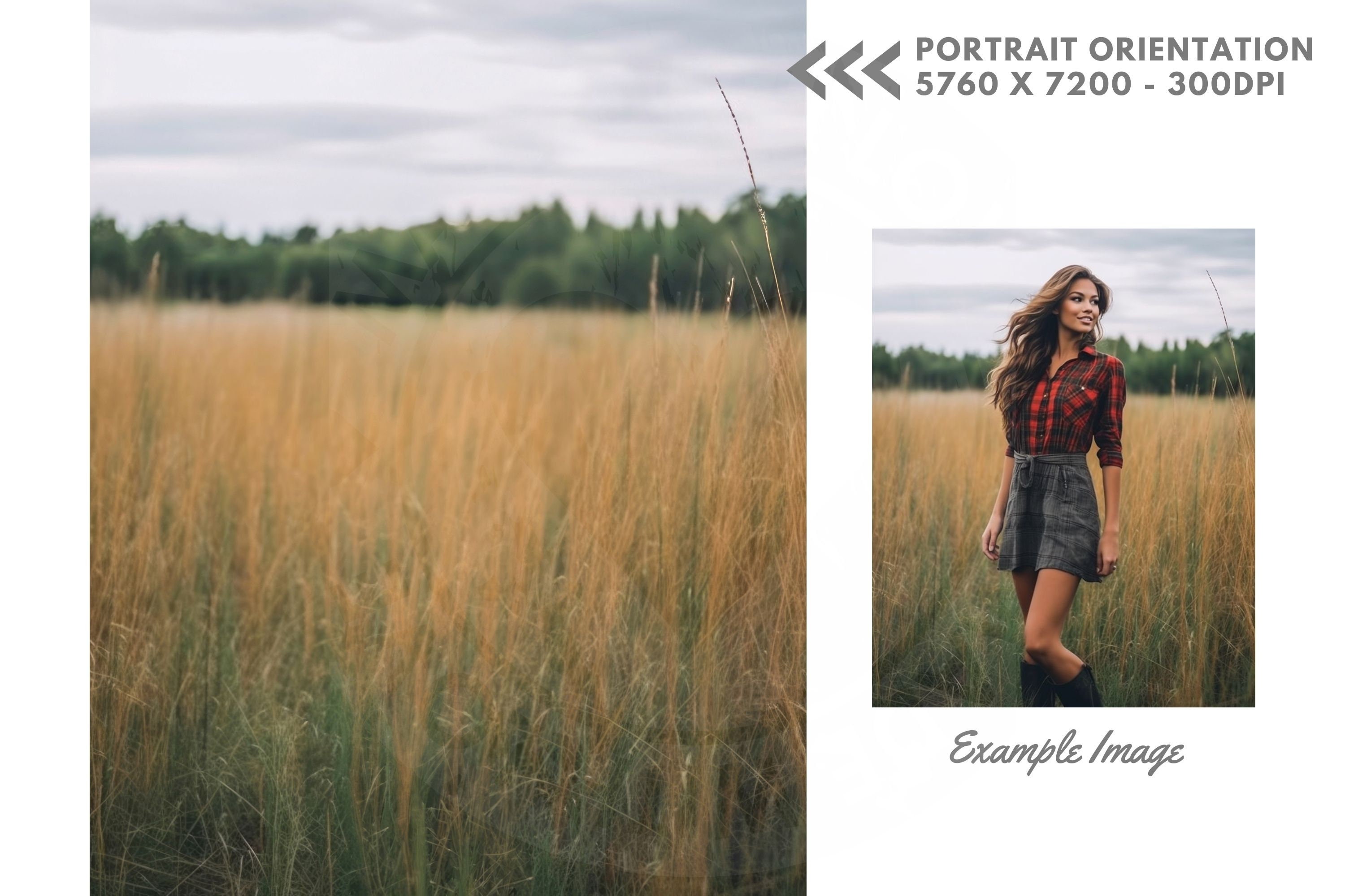 14 Digital Backdrops of Outdoor Field of Tall Grass for - Etsy