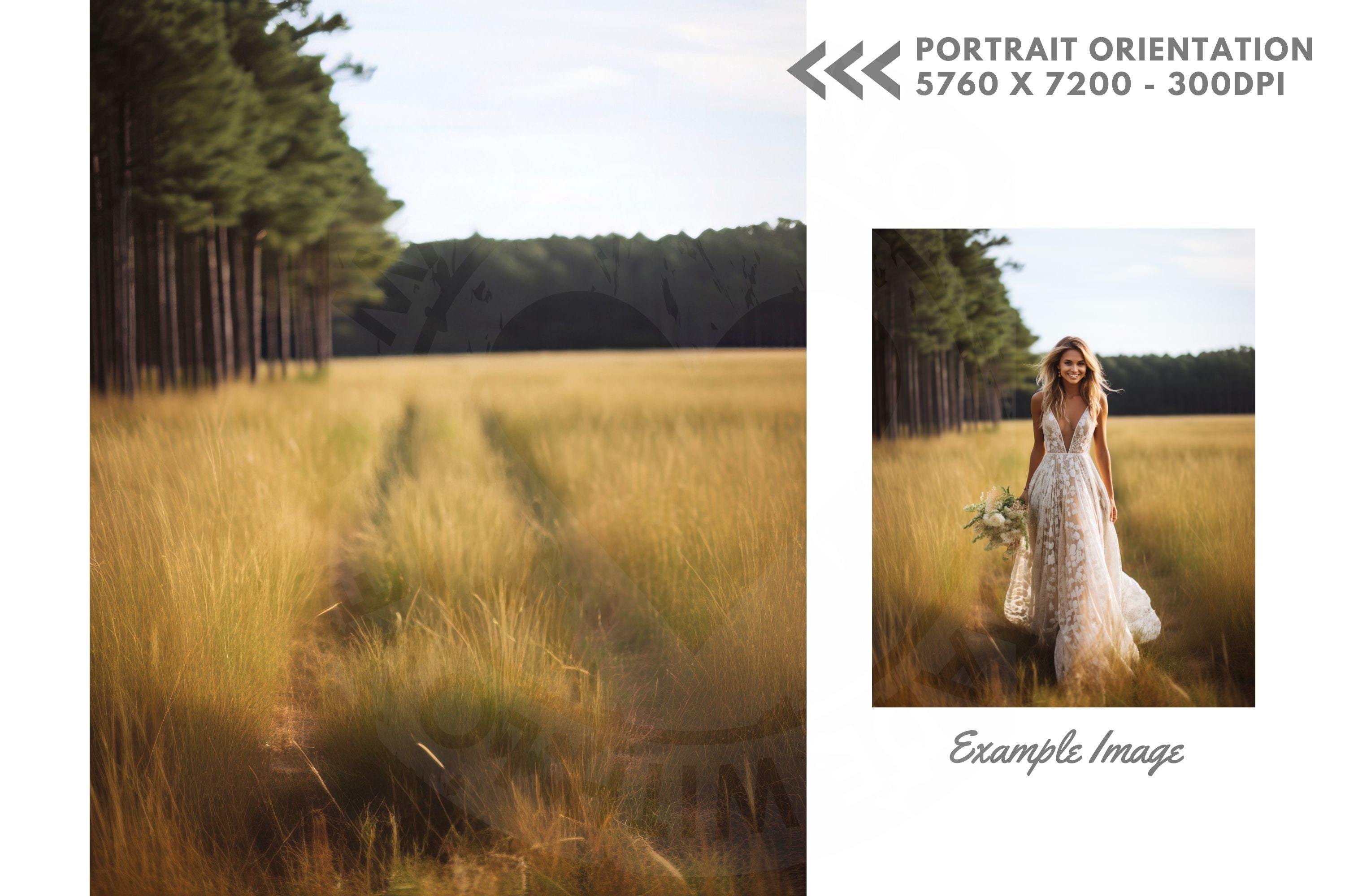14 Digital Backdrops of Outdoor Field of Tall Grass Volume 2 for Bridal ...