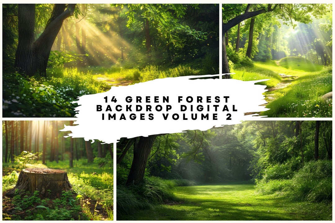 14 Green Summer Forest Backdrop Volume 2 Digital Images at 300DPI (8565 ...
