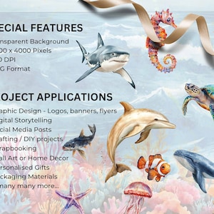 Watercolor Sea Animal Clipart Realistic Sea Animals PNG Under the Sea ...