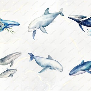 Whale Clipart Watercolor Whales PNG, Under the Sea PNG Cute Sea Animals ...