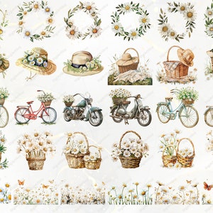 Daisy Clipart Watercolor Spring Clipart Flower Clipart Wild Flower PNG ...